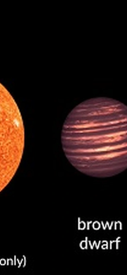 Brown dwarfs hiding in plain sight in our solar neighborhood | Carnegie Science